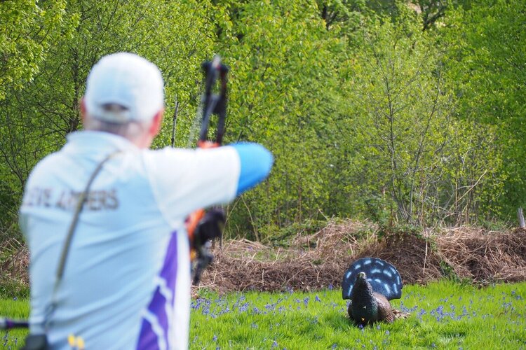 Archery GB | Clubs, Competitions, Coaching & Performance